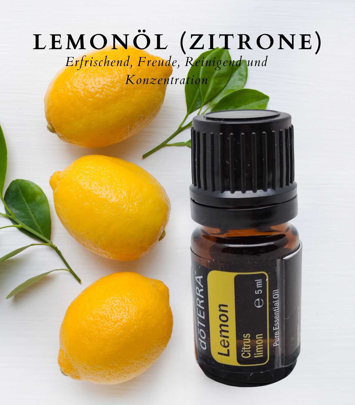 Lemonöl von dōTERRA - Spiralen Shop