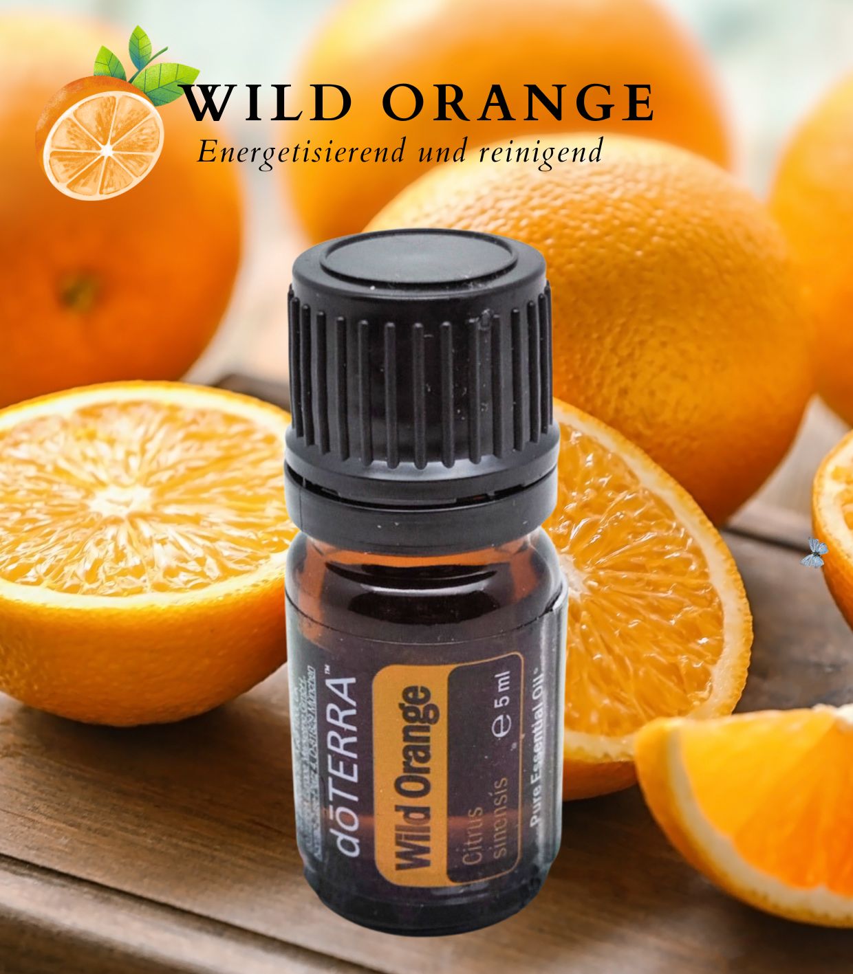 Wild Orange von dōTERRA - Spiralen Shop